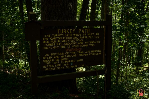 Pine Creek Gorge - The Grand Canyon of Pennsylvania — KarthisKitchenStudio
